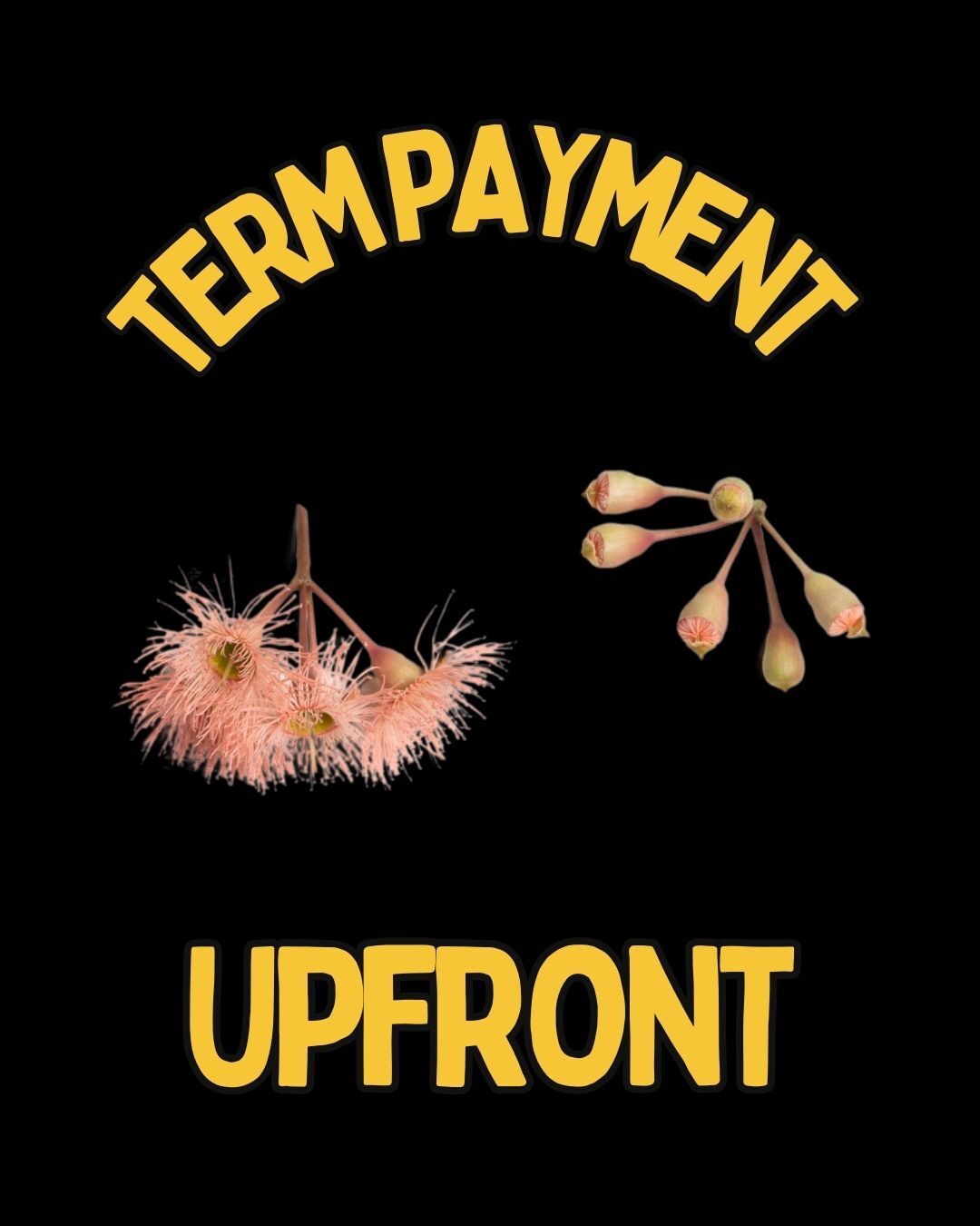 Term 4 Payment Upfront (x8 classes over 8 weeks) | Surf Coast Roller Skaters